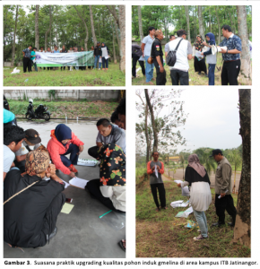 KK Teknologi Kehutanan SITH ITB Dorong Industri Perbenihan Tanaman ...