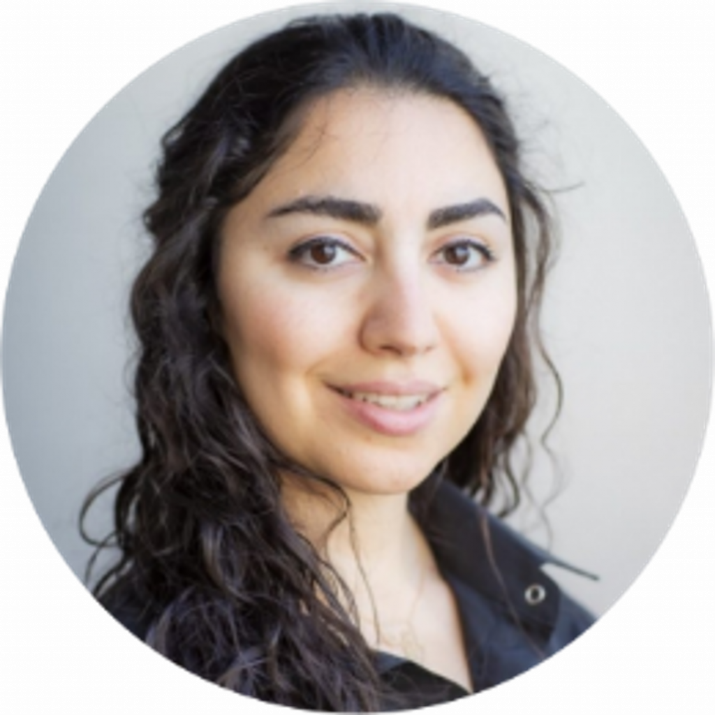 International Virtual Courses